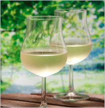 インターリンクジャパン Interlink Japan ワインツーリズムを北海道から発信中！